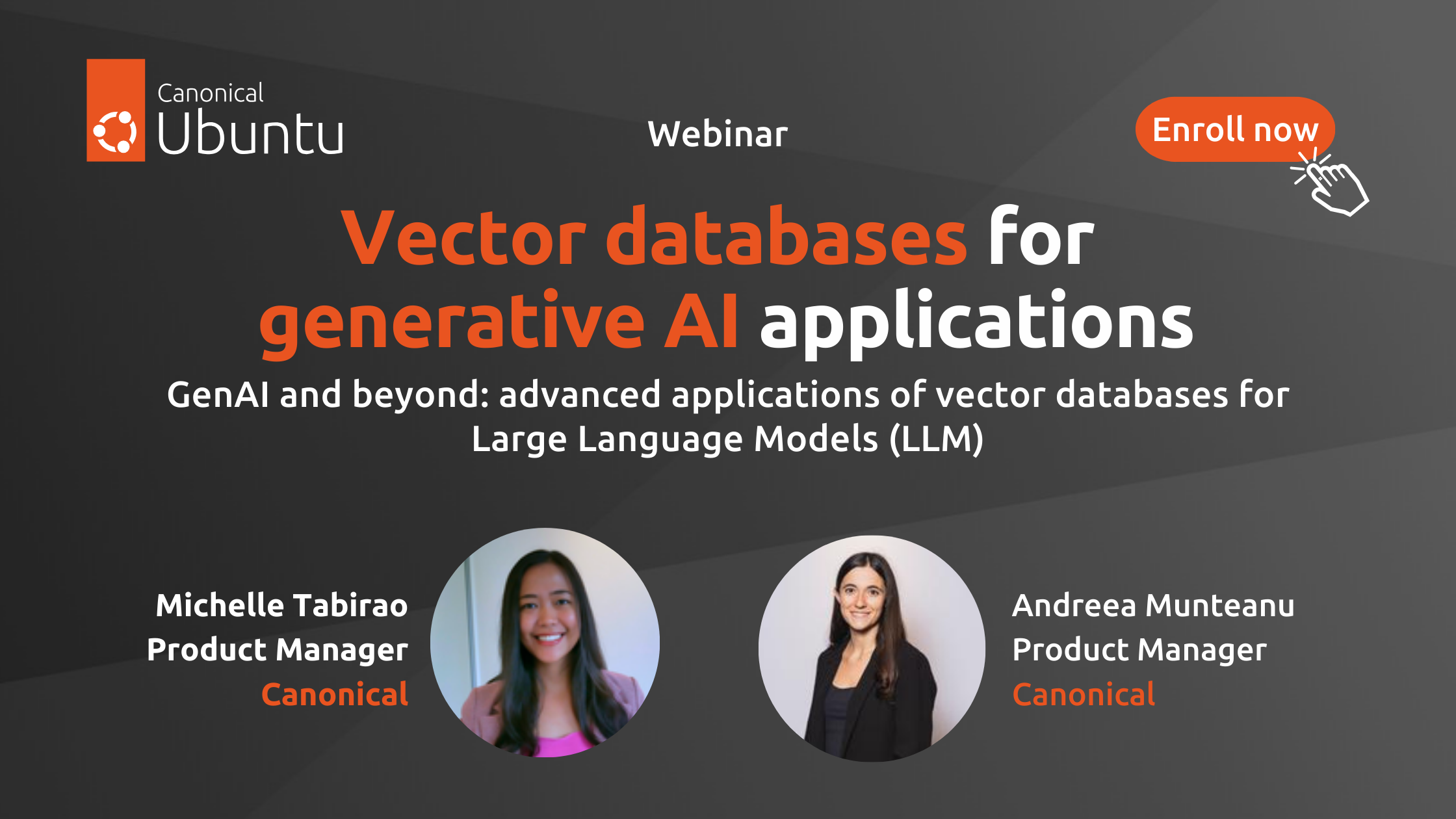 Vector Databases For Generative Ai Applications Ubuntu